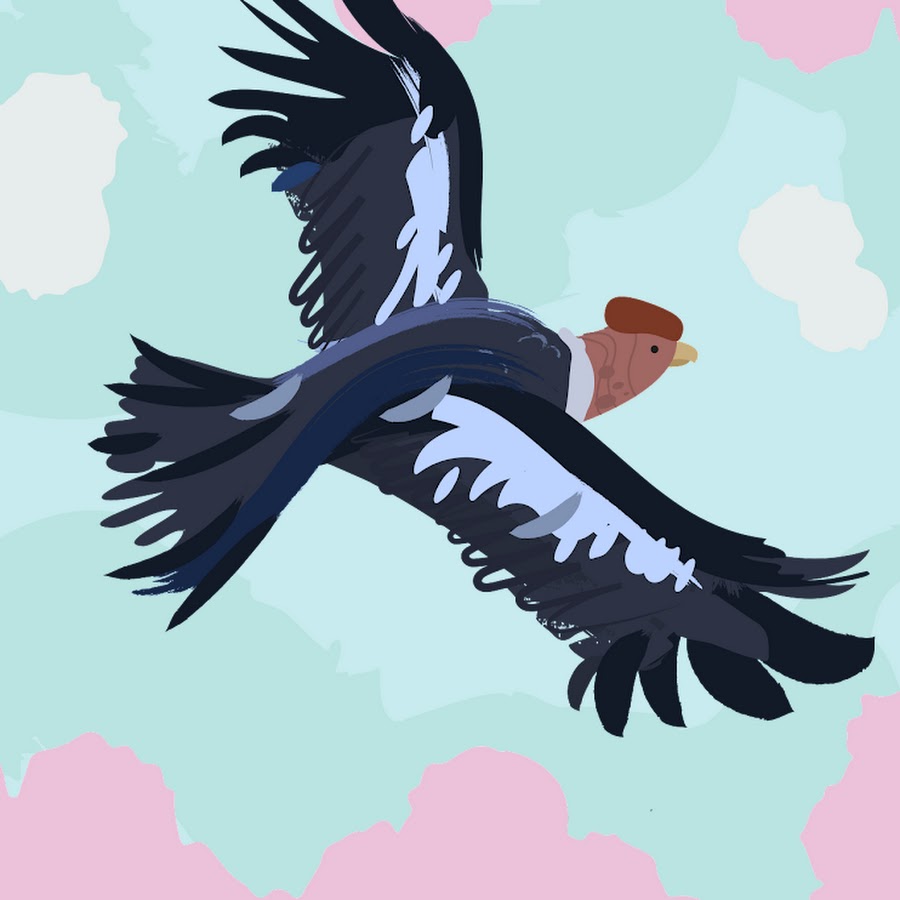 Patryk Piotrowski - YouTube