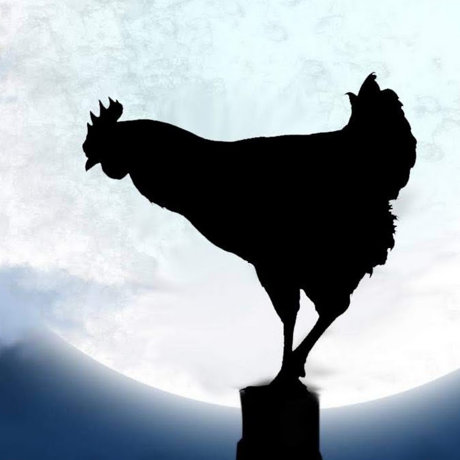 moon_Chicken - YouTube