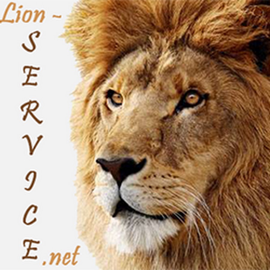 Lion - Service - YouTube