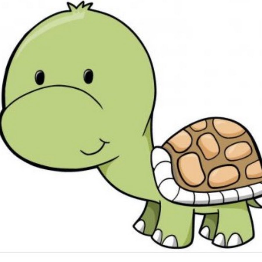 Mr. Turtle - YouTube