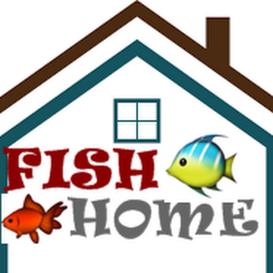 FISH HOME - YouTube
