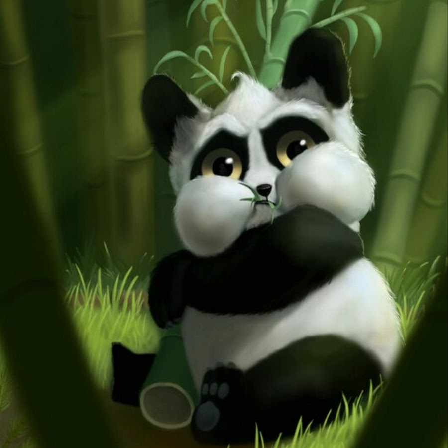 PandaBoy YT - YouTube