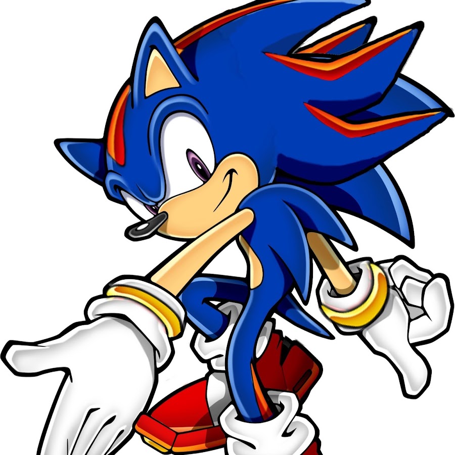 Emilio Y. the hedgehog - YouTube