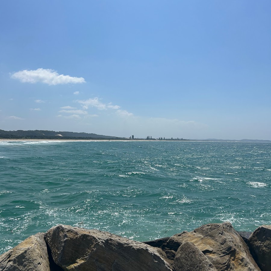 Cow Gaming - YouTube