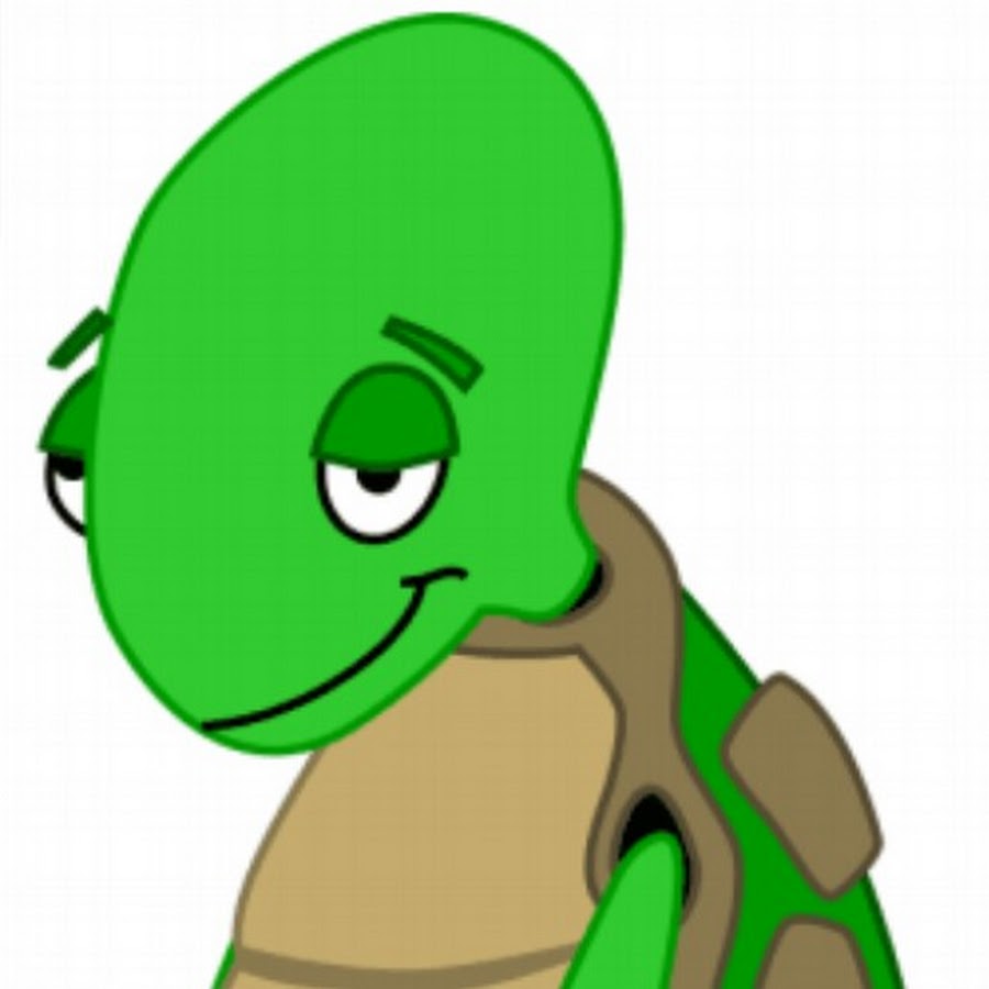 Timmy The Turtle - YouTube