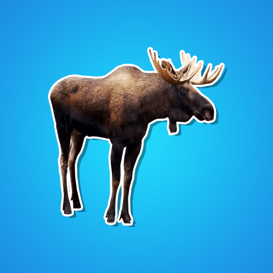 Angry Moose Gaming - YouTube