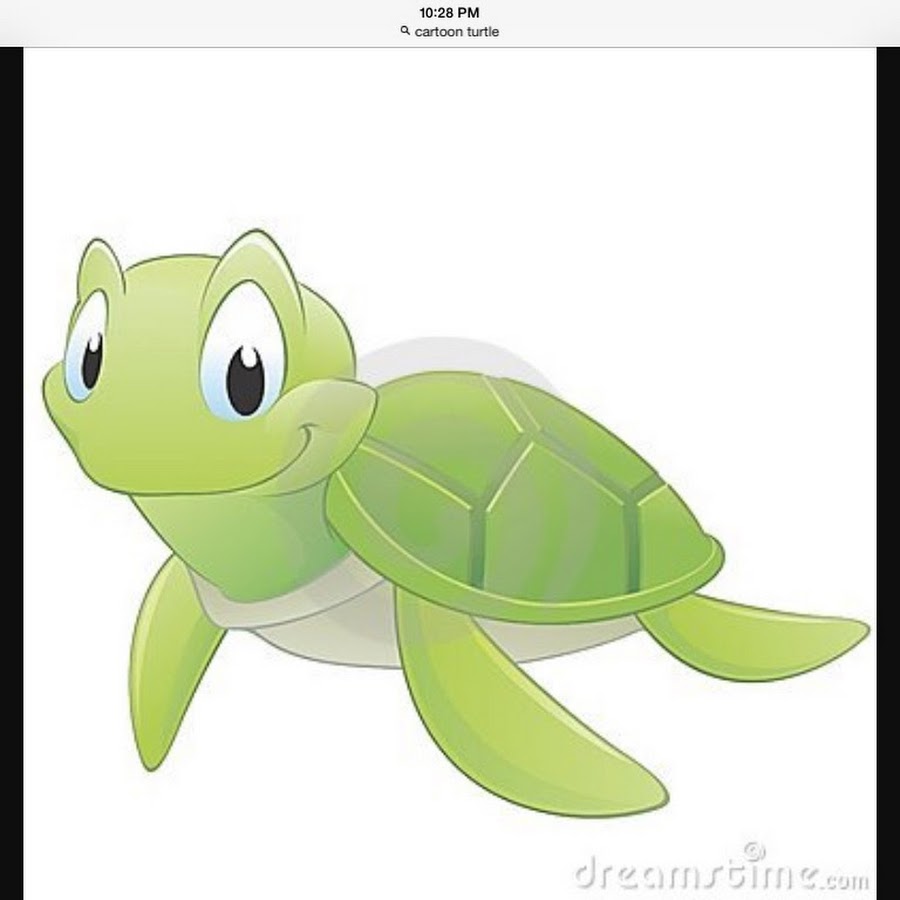 Shelly The Turtle - YouTube