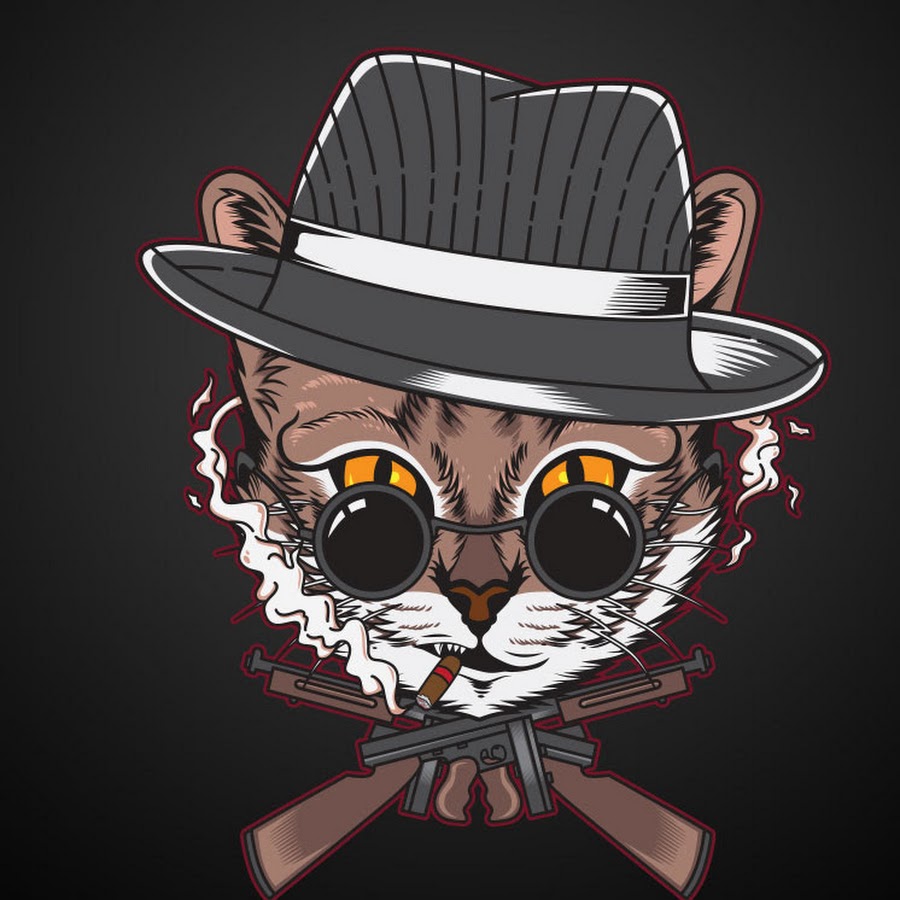 Mister cat - YouTube