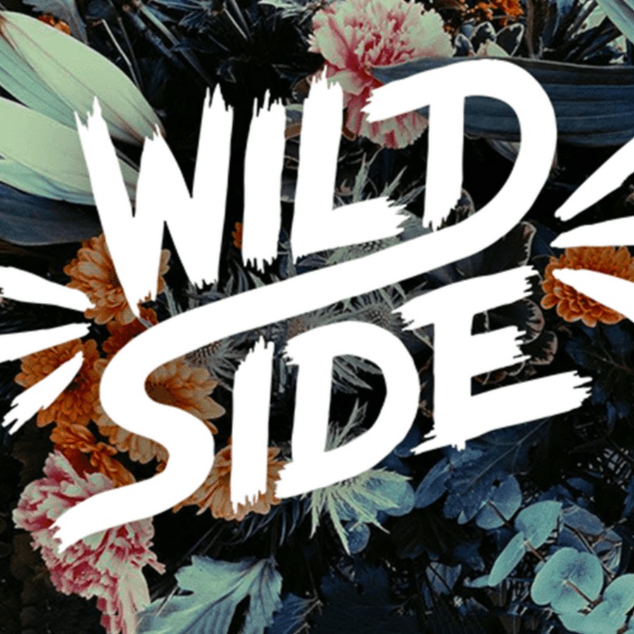 Wild Side - YouTube
