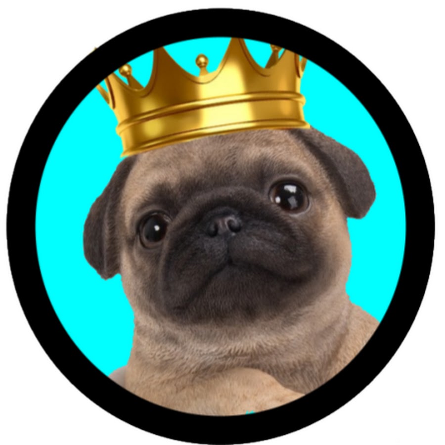 King Pug - YouTube
