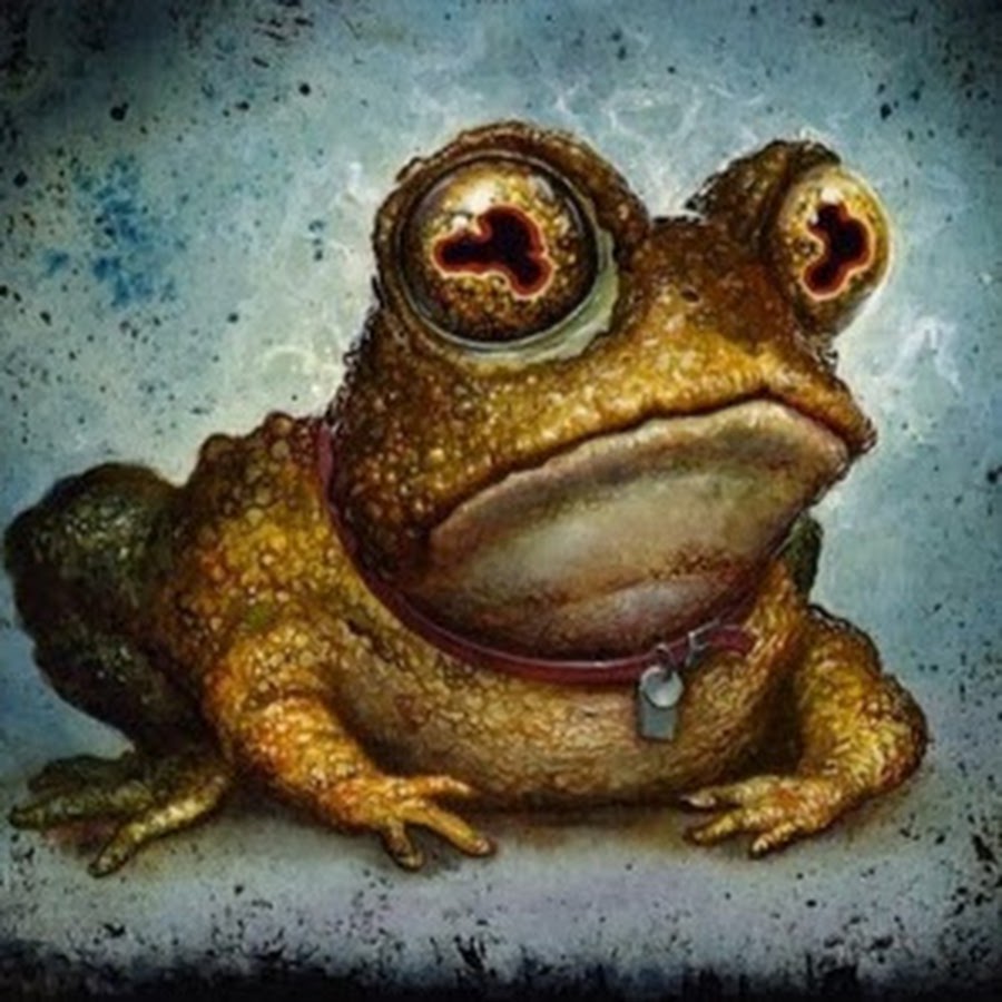 HYPNO TOAD - YouTube