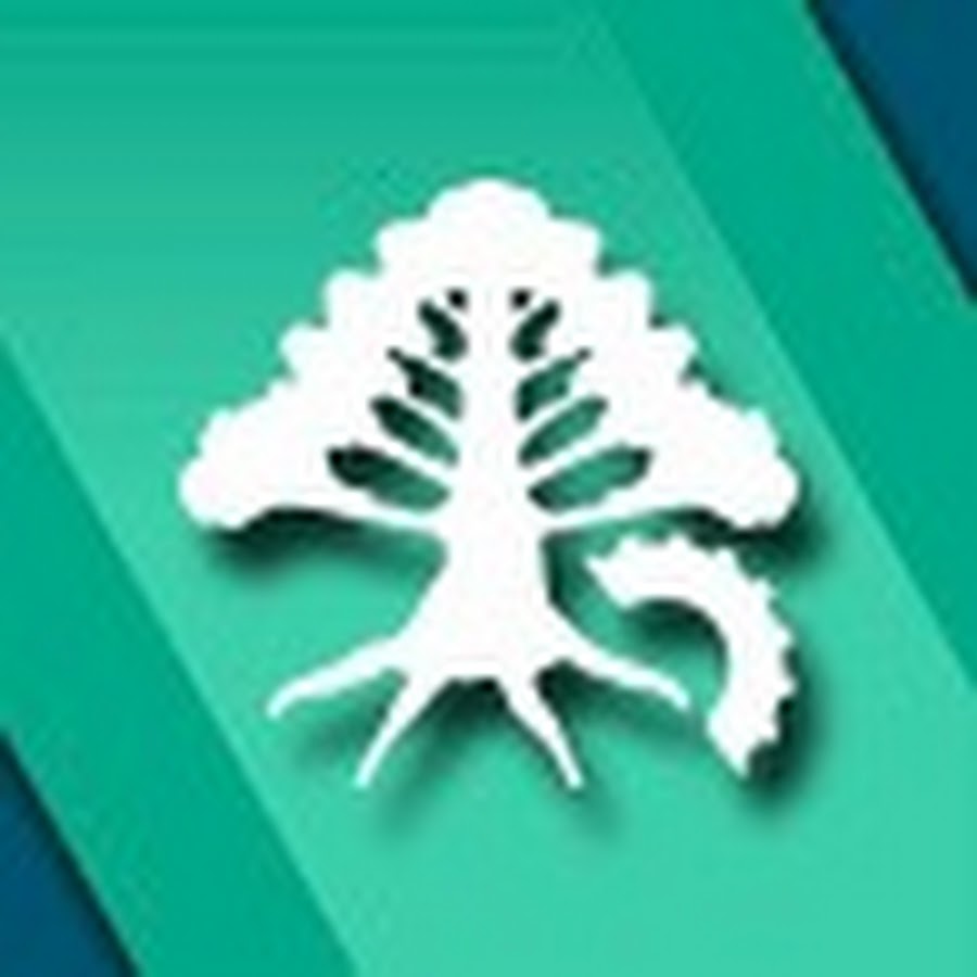 UTselva Oficial - YouTube