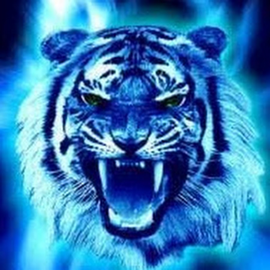 GAMING TIGER - YouTube