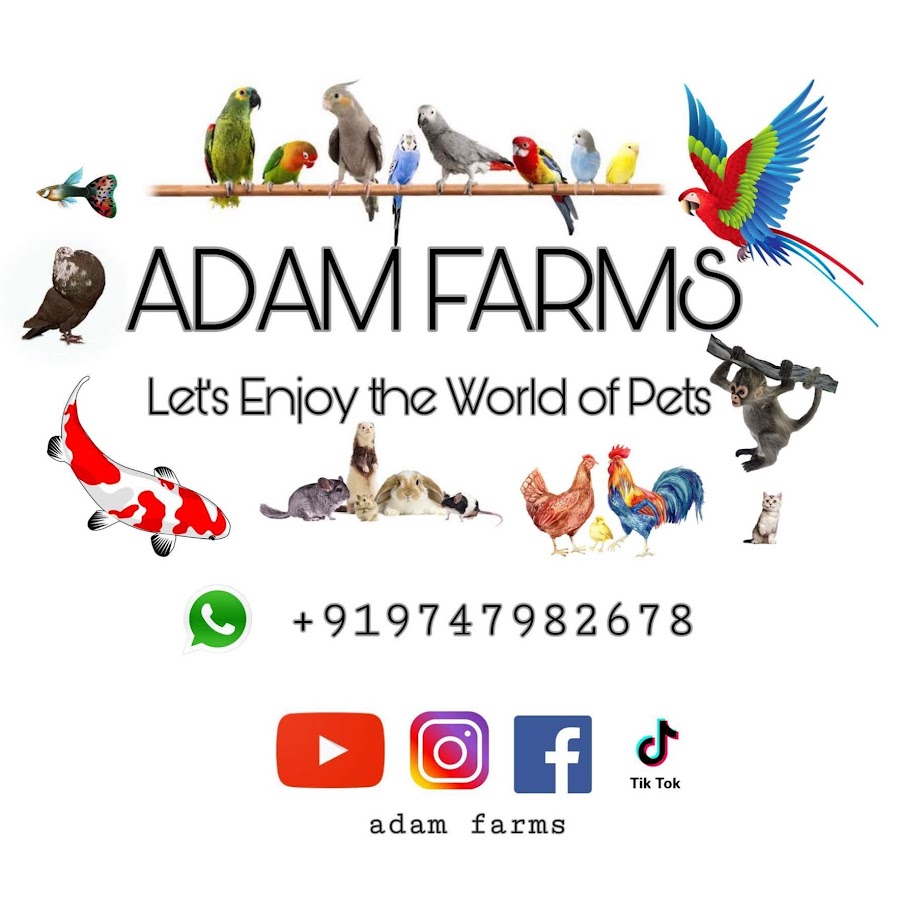Adam Farms - YouTube