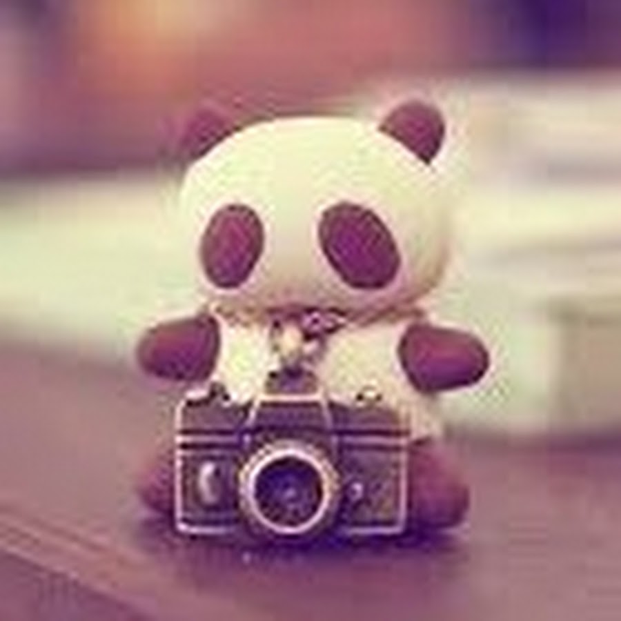 Panda Sisters - YouTube