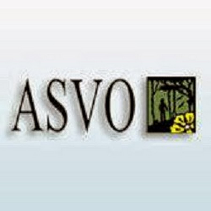 ASVO ORG - YouTube