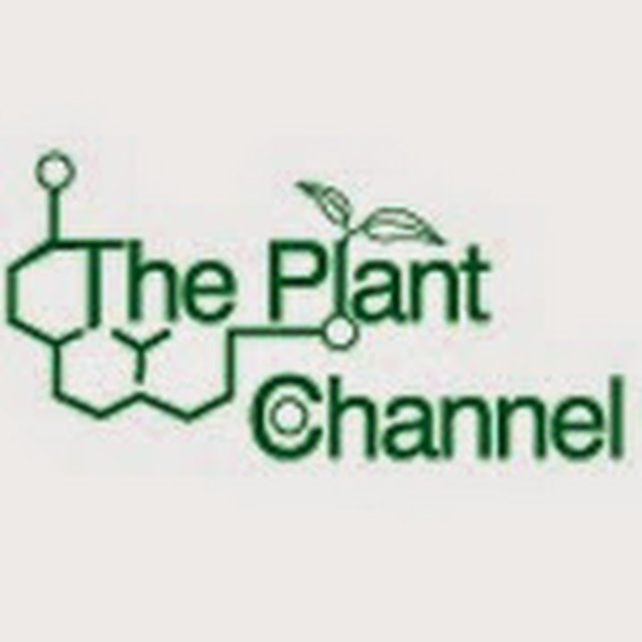 The Plant Channel - YouTube