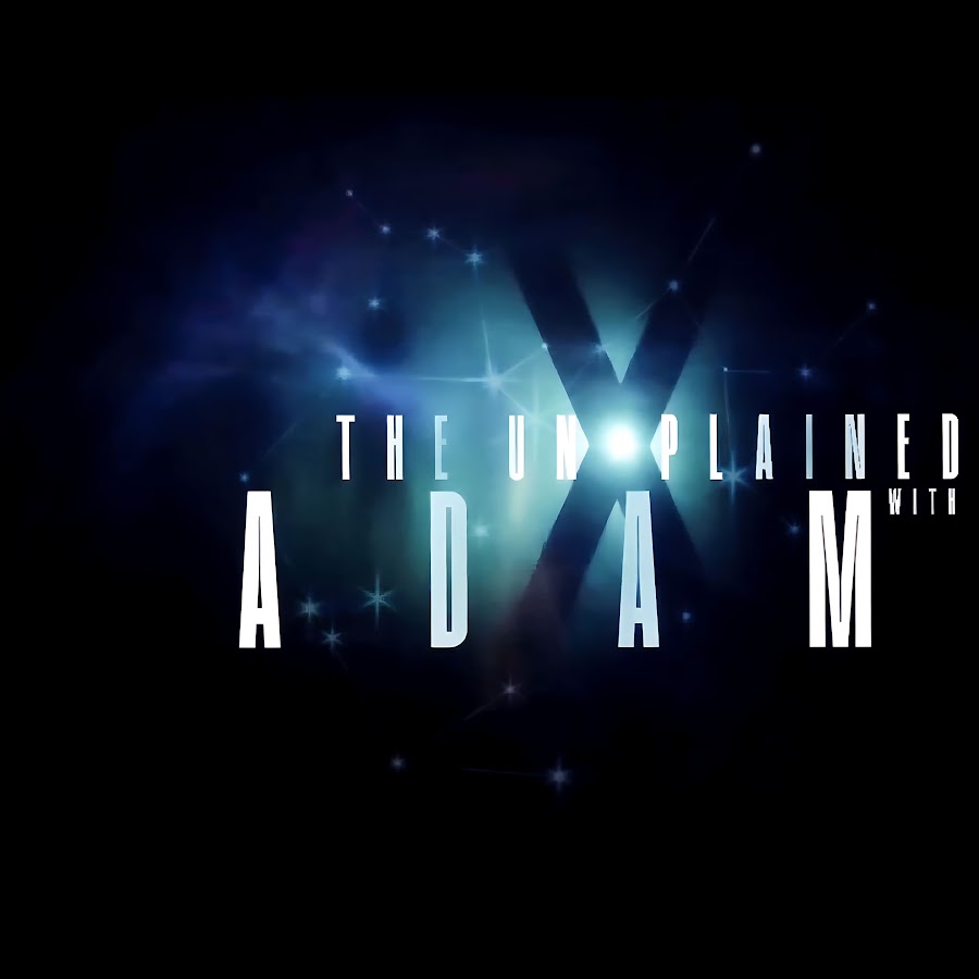 The Chase - Funniest Moments - YouTube