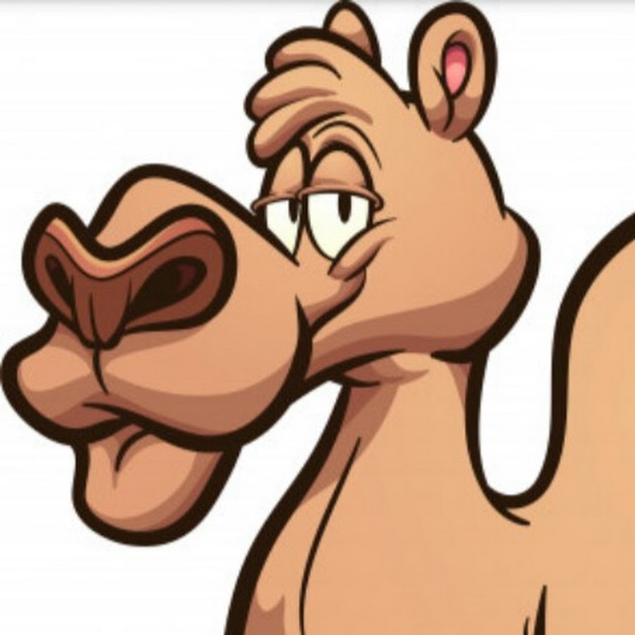 team chamo - YouTube