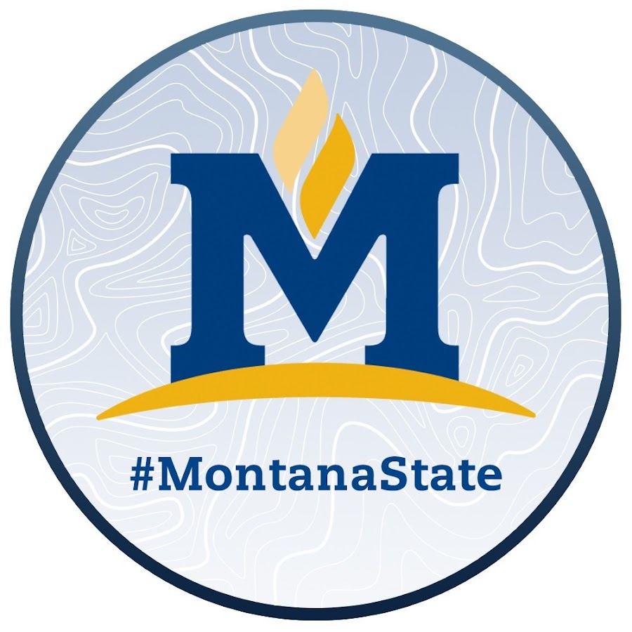 Montana State University Office of Admissions - YouTube