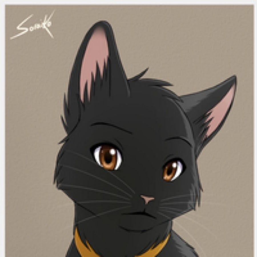 The Jinxed Kitty Cat - YouTube