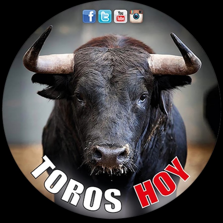 Toros Youtube En 4k Youtube