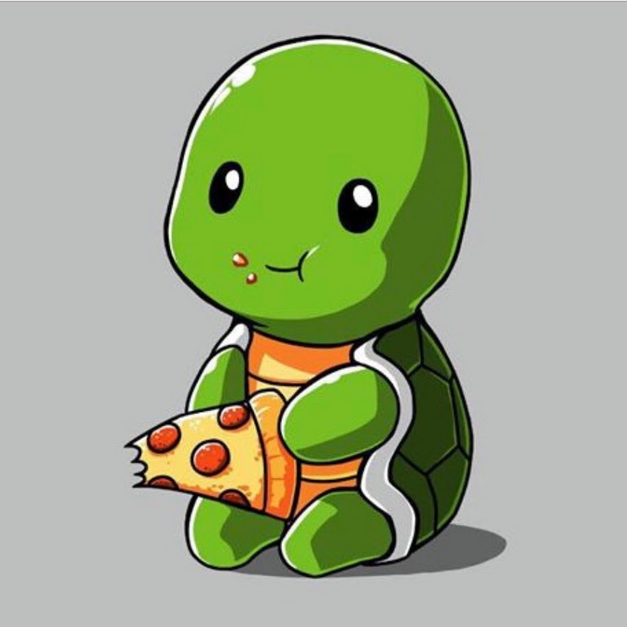 Turtle_ Master - YouTube