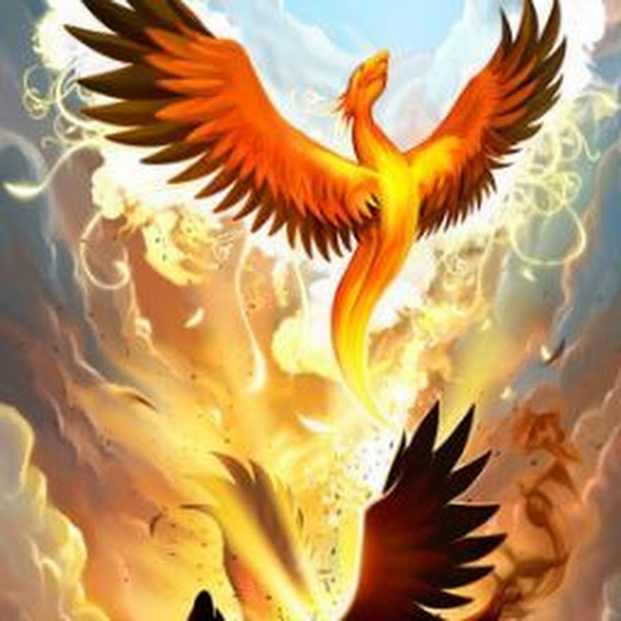 Démons Phoenix - YouTube