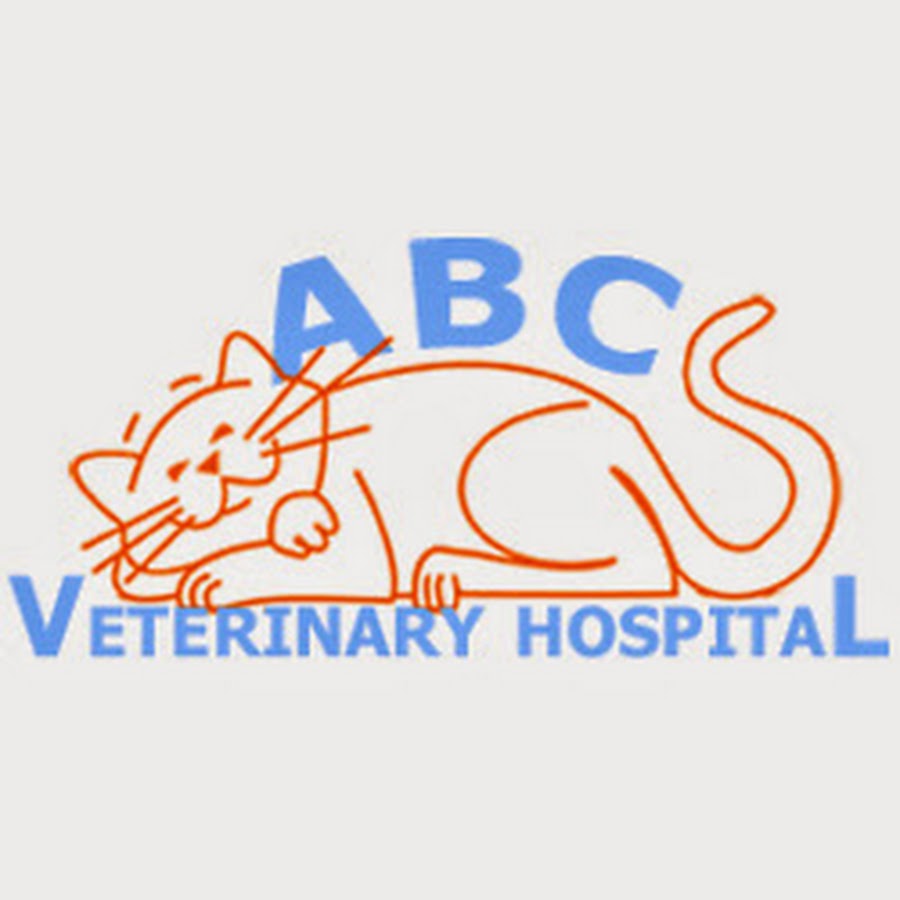 ABC Veterinary Hospital - YouTube