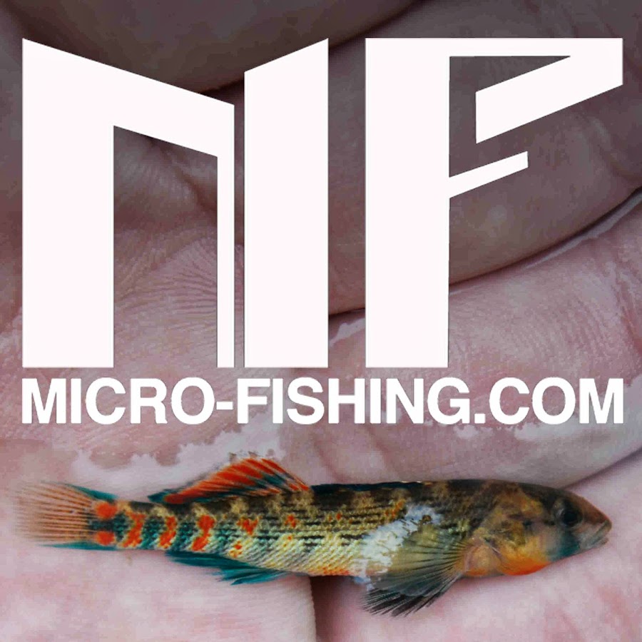 Micro Fishing - YouTube