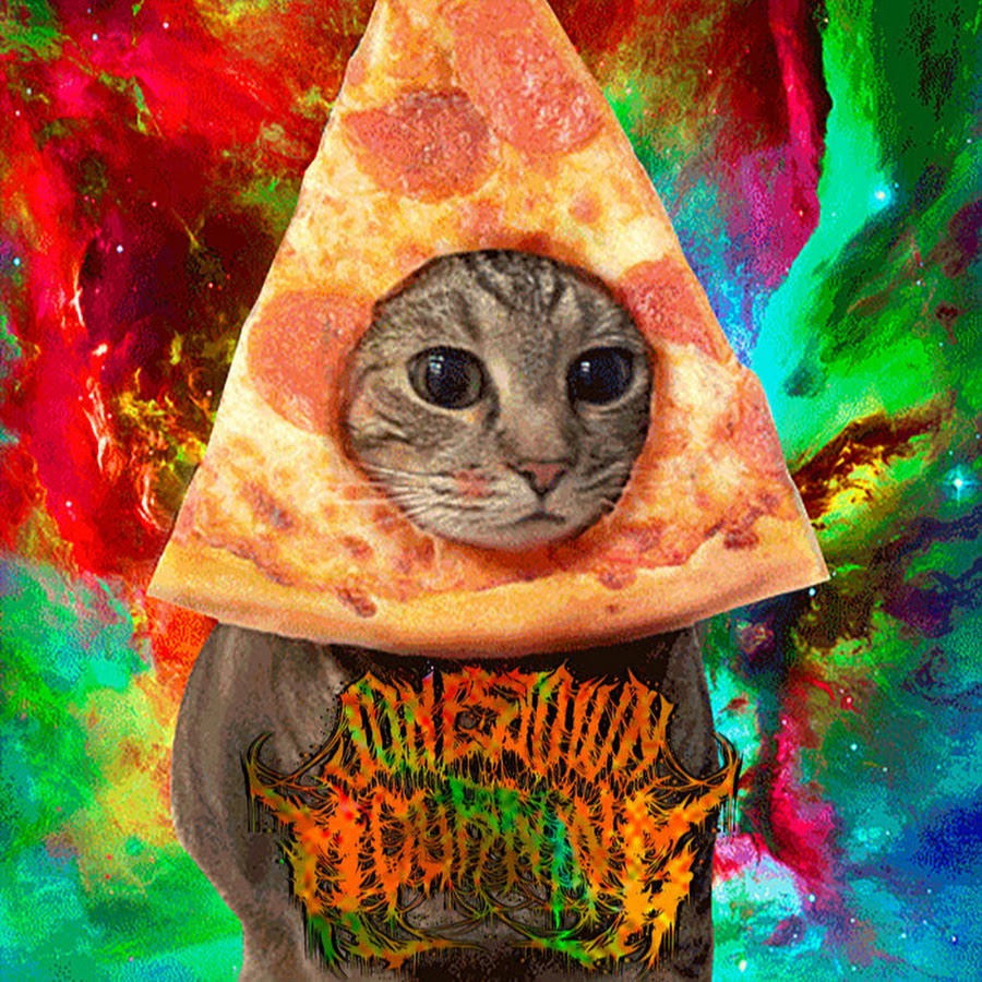 metalhead-cat-youtube