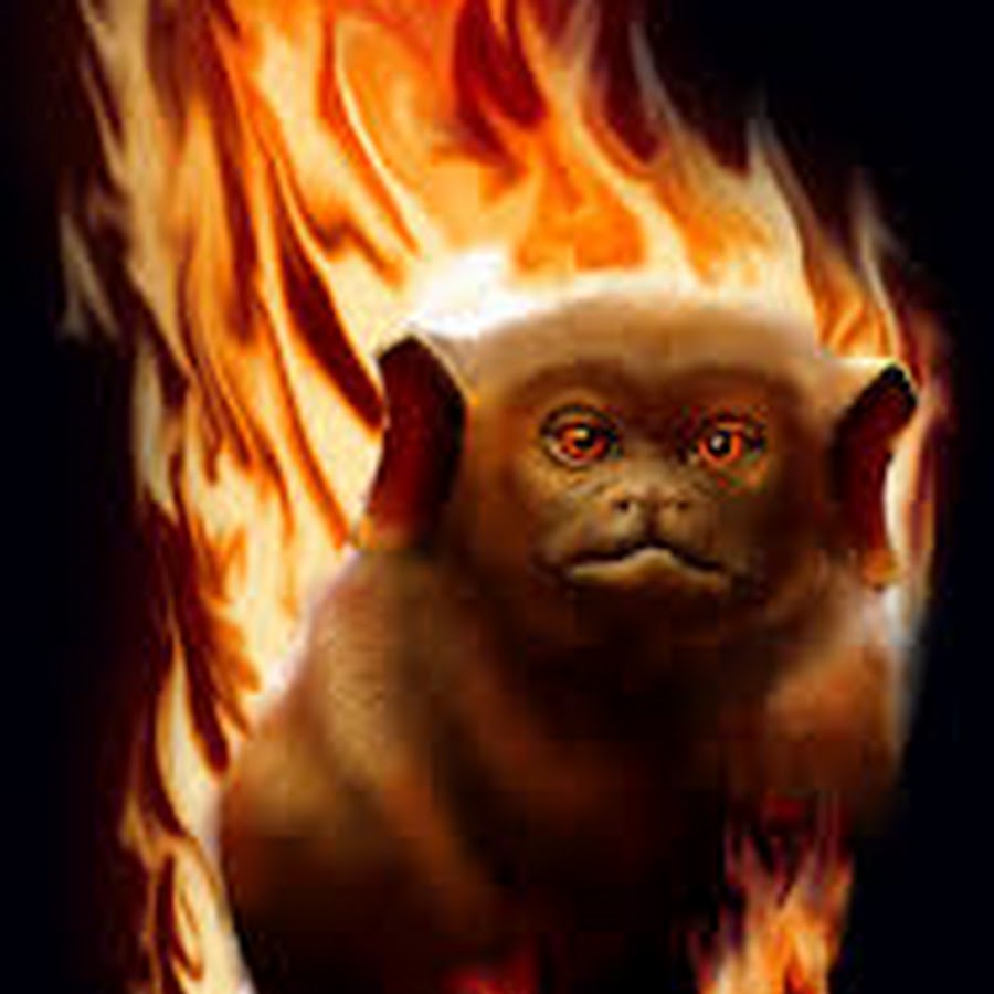 fire monkey - YouTube