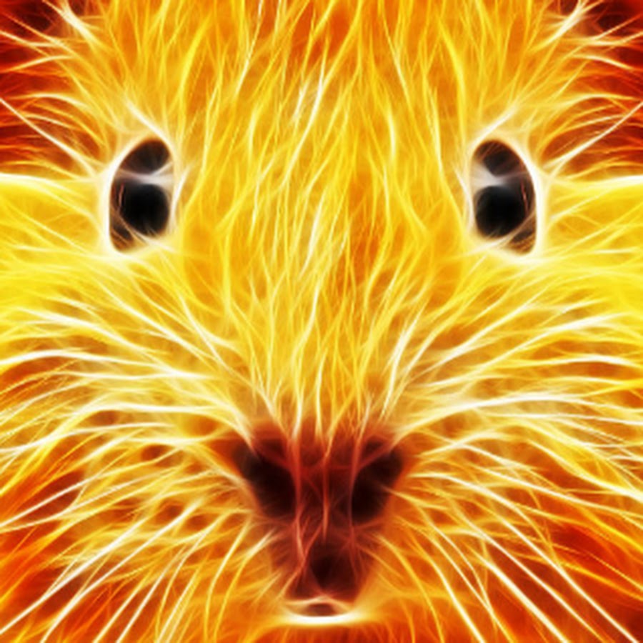 The Fire Mouse - YouTube