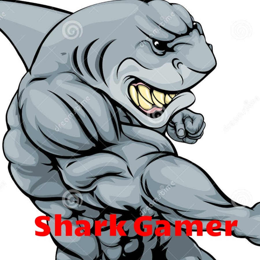 Shark- -Gamer - YouTube