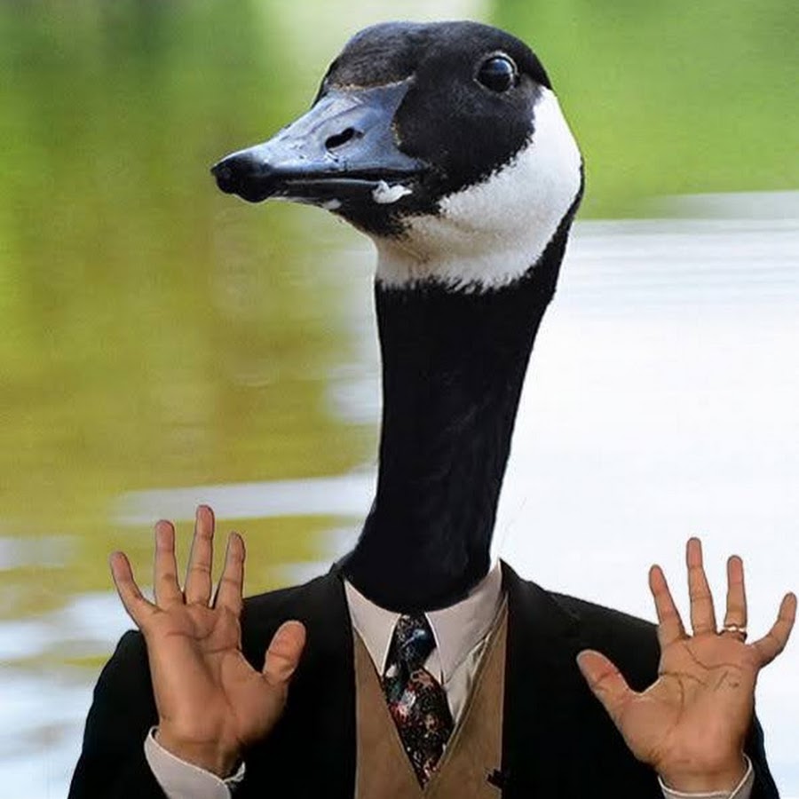 Scuffed Gaming - YouTube