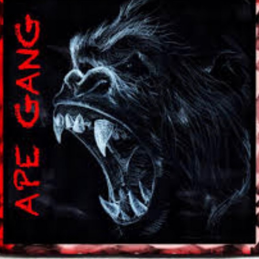 yg.buddha tbg gorilla gang - YouTube