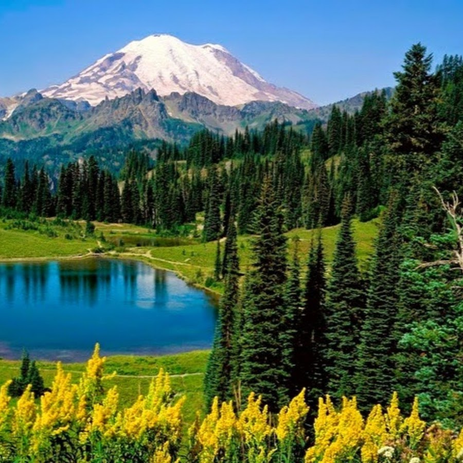 Natural World - YouTube