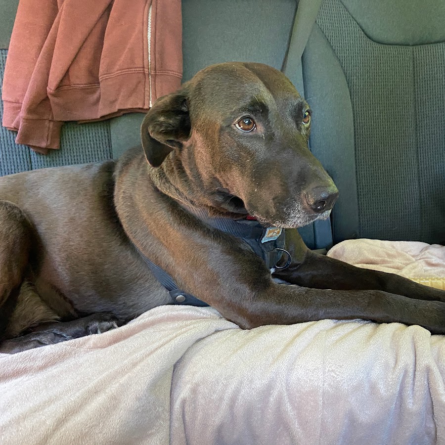 Angie Castillo - YouTube