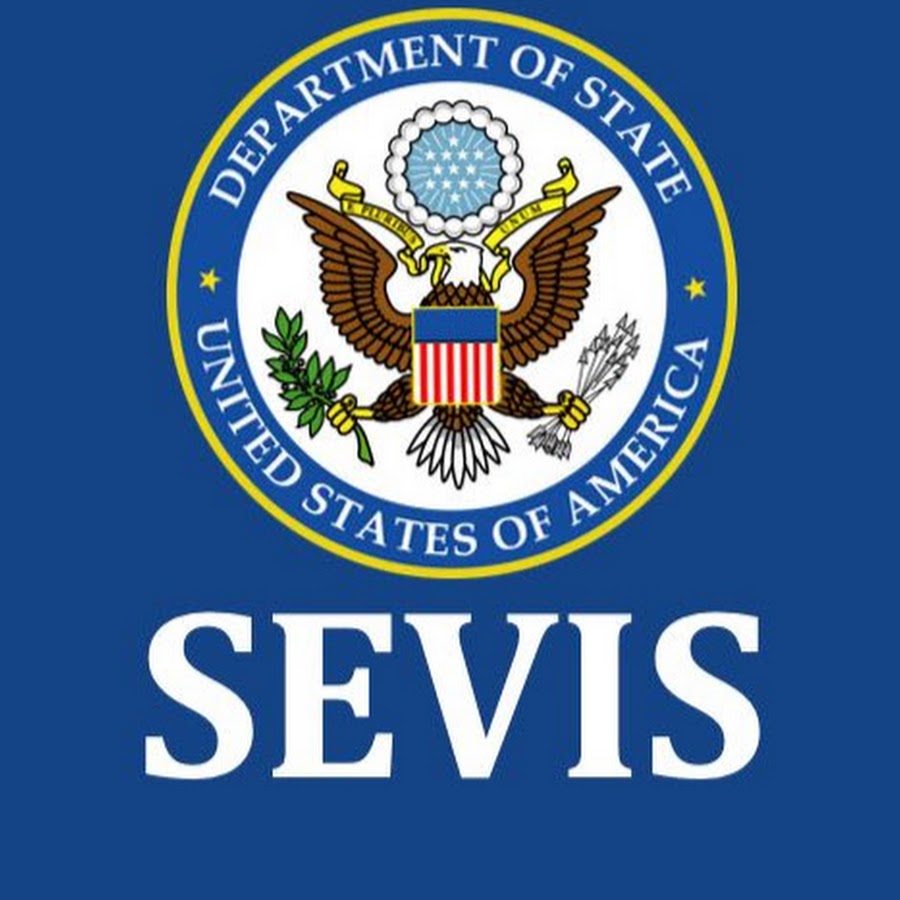 SEVIS Team - YouTube