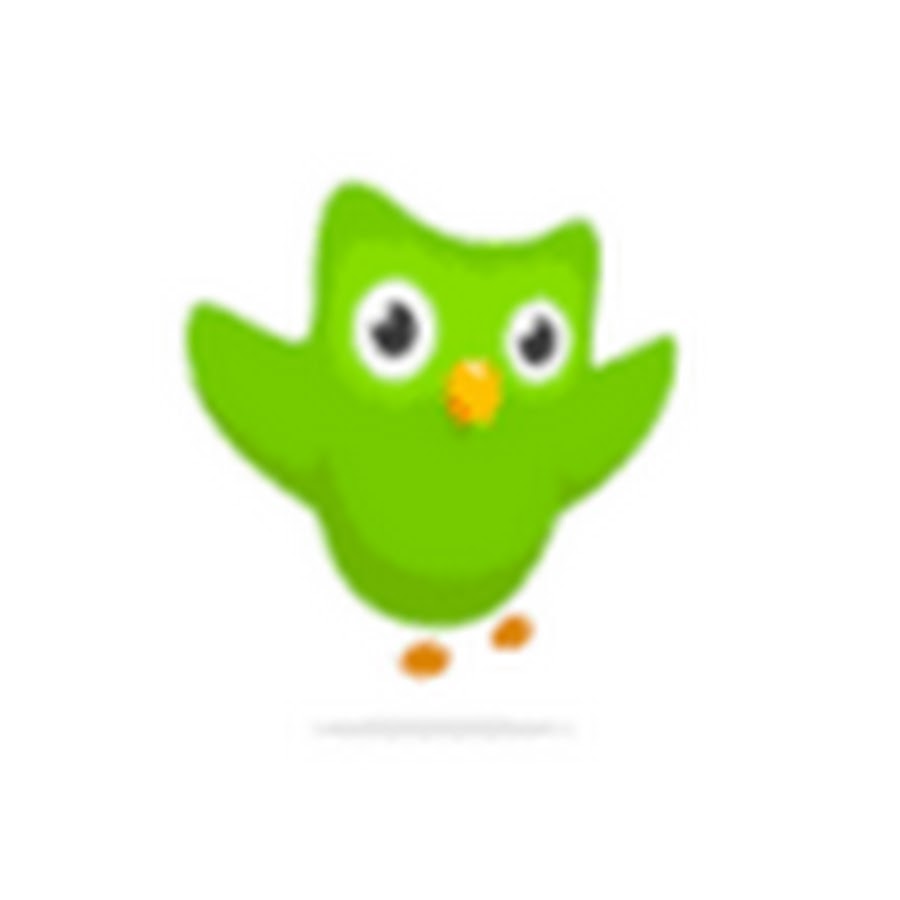 Duolingo Owl - YouTube
