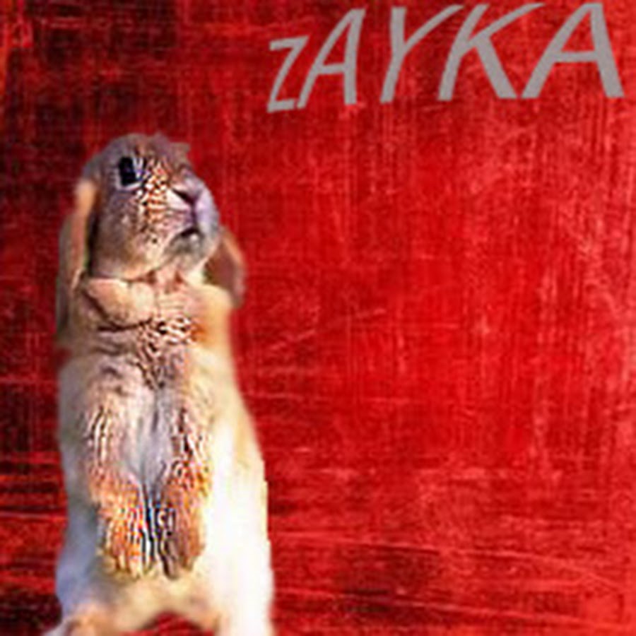 zAYKA - YouTube
