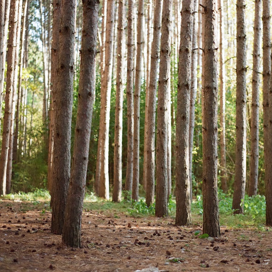 Alan Decker - YouTube