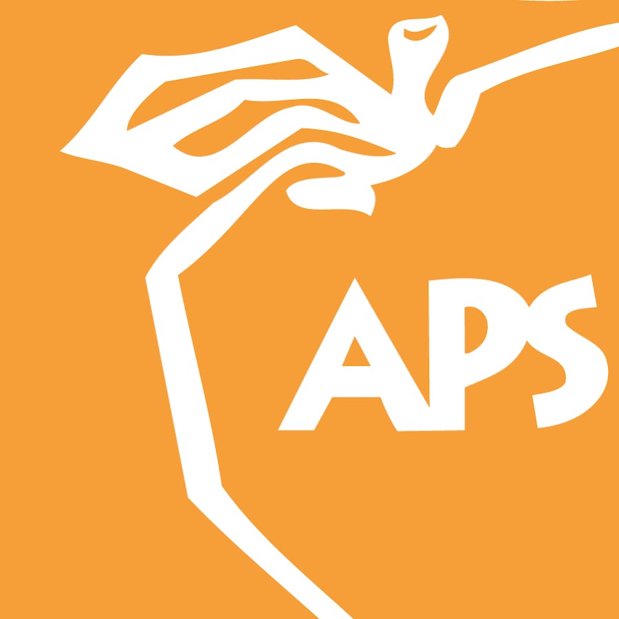 APS Board of Education - YouTube