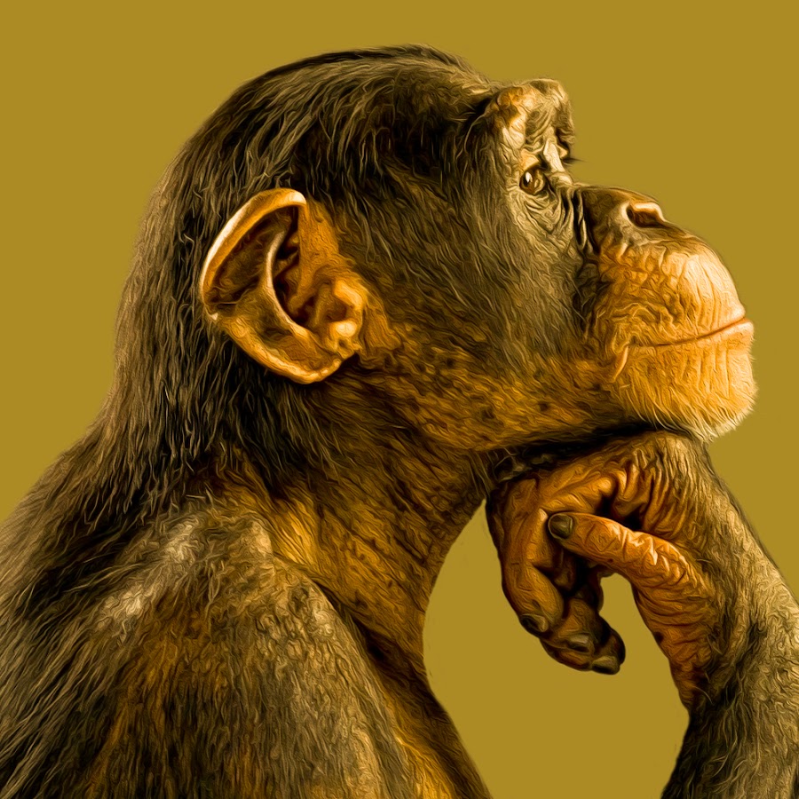 Beat Monkey - YouTube