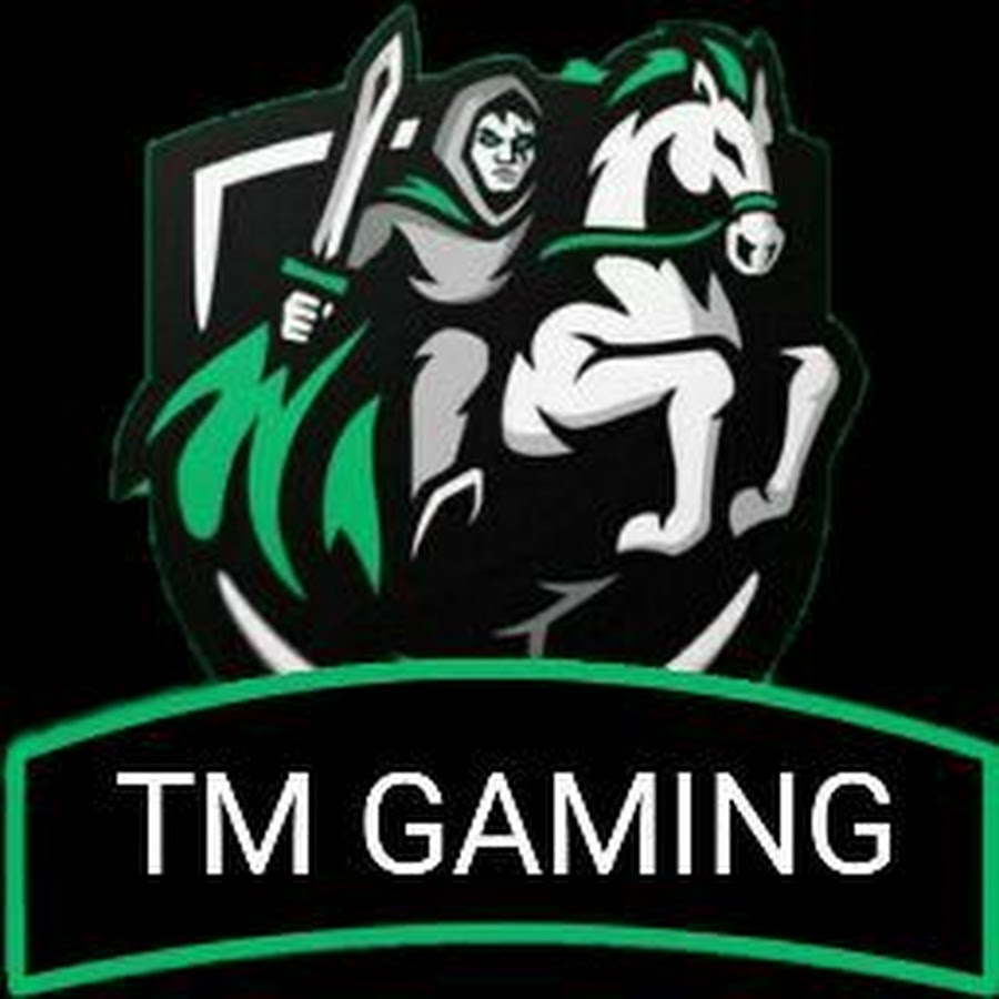TM GAMING - YouTube