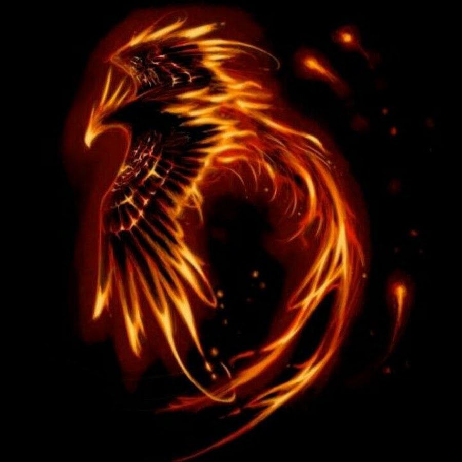 Phoenix. YT - YouTube
