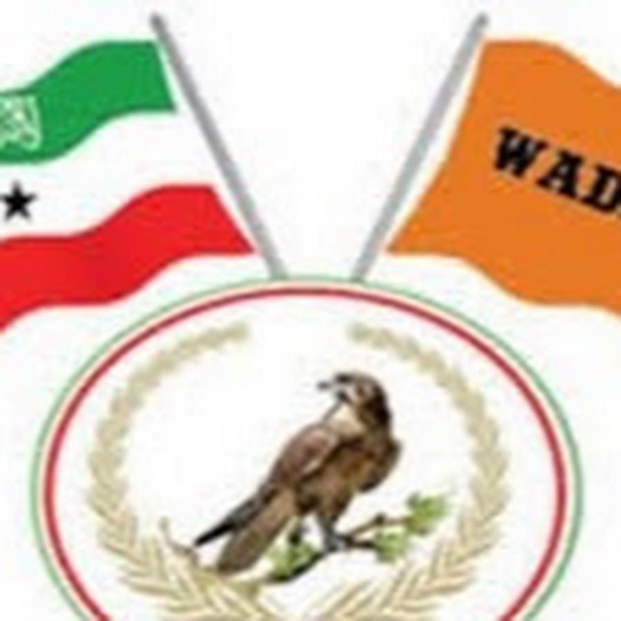 WADDANI Party - YouTube