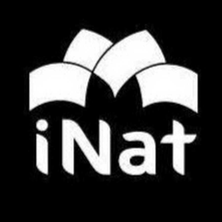 iNat México - YouTube