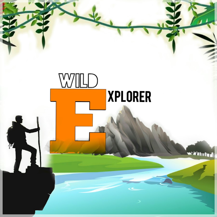 wild explorer - YouTube