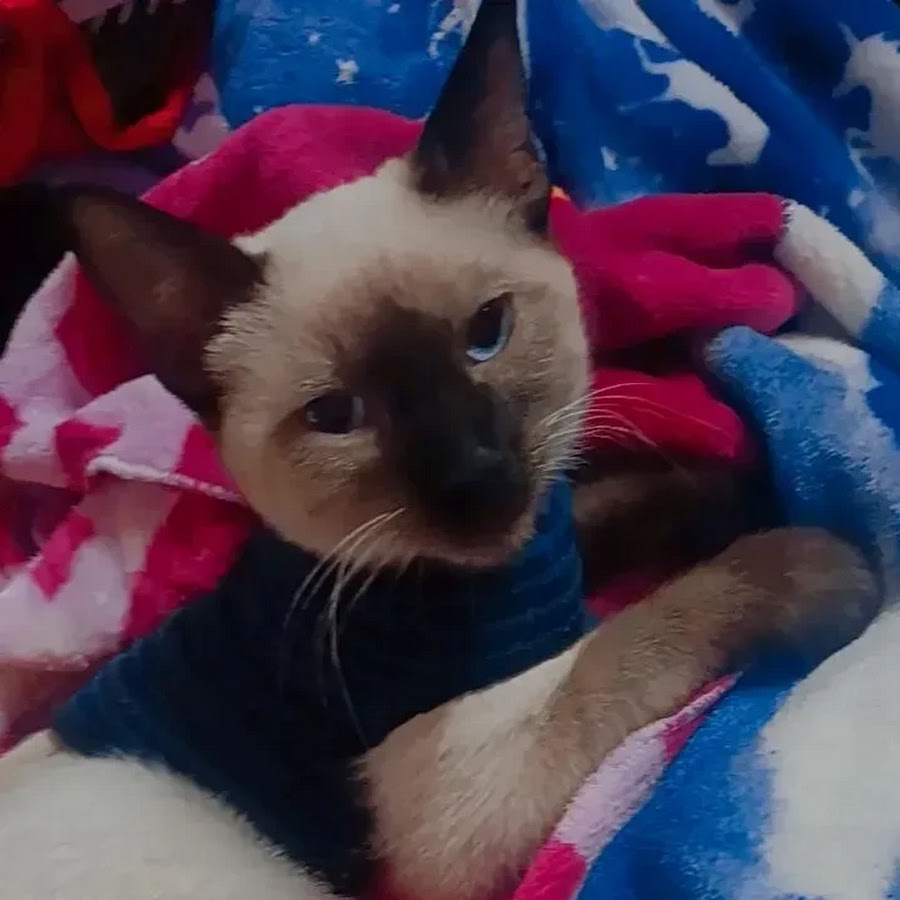 jeff the kiler - YouTube